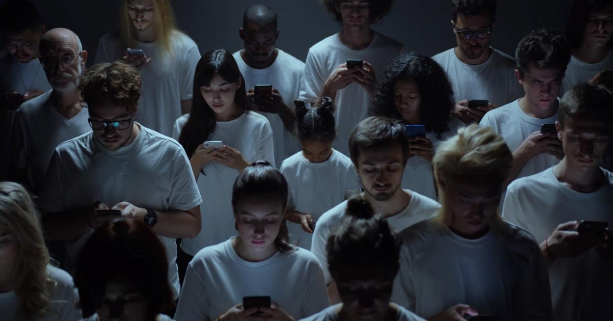 Caught in a Web | UNSW Sydney